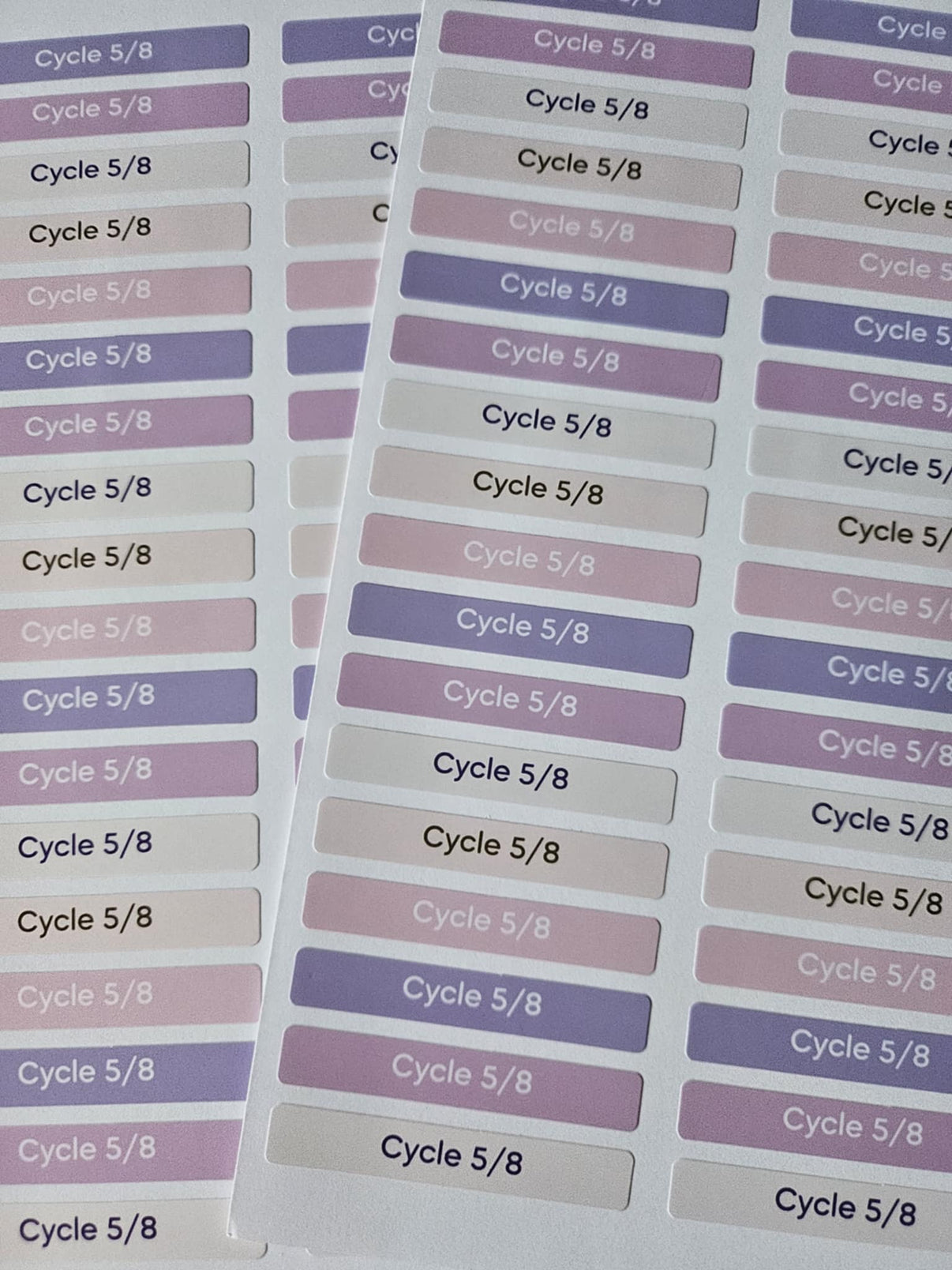 STICKERS RECTANGULAIRES: CYCLE 5/8 ( planche de 30 stickers) – Le petit ...